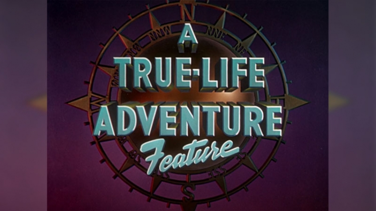 True-Life Adventures - Café Mickey