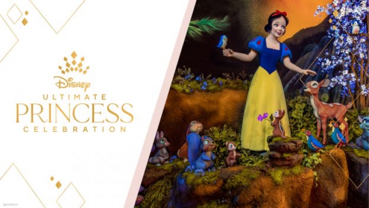 Disney’s Ultimate Princess Celebration: Waar je je favoriete Disney ...